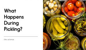 What Happens During Pickling? – BottleStore.com Blog