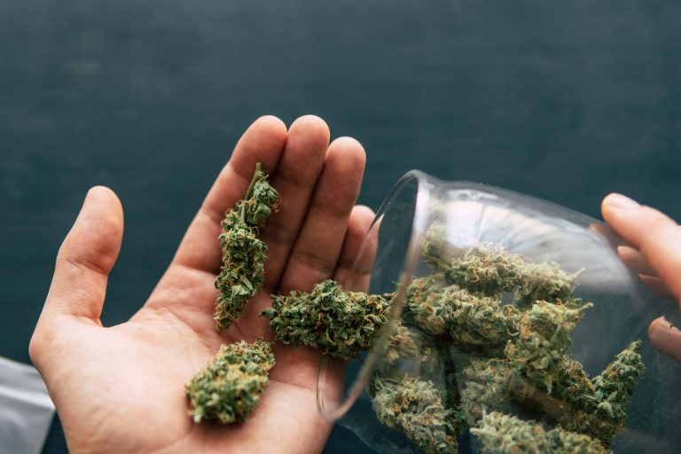 Business Opportunities In The Rapidly Growing Cannabis Industry ...