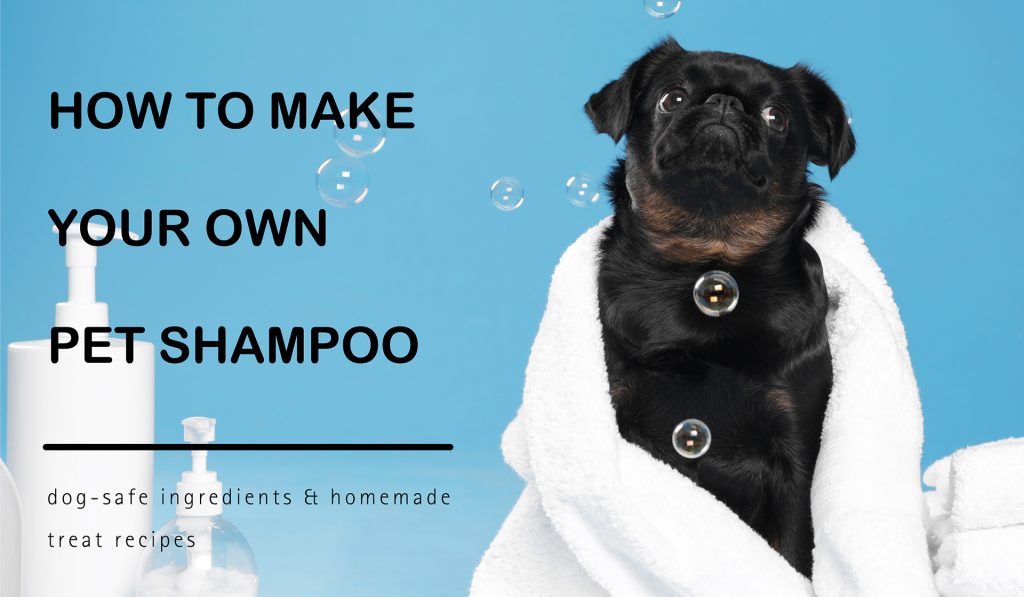 How To Make Your Own Pet Shampoo – BottleStore.com Blog