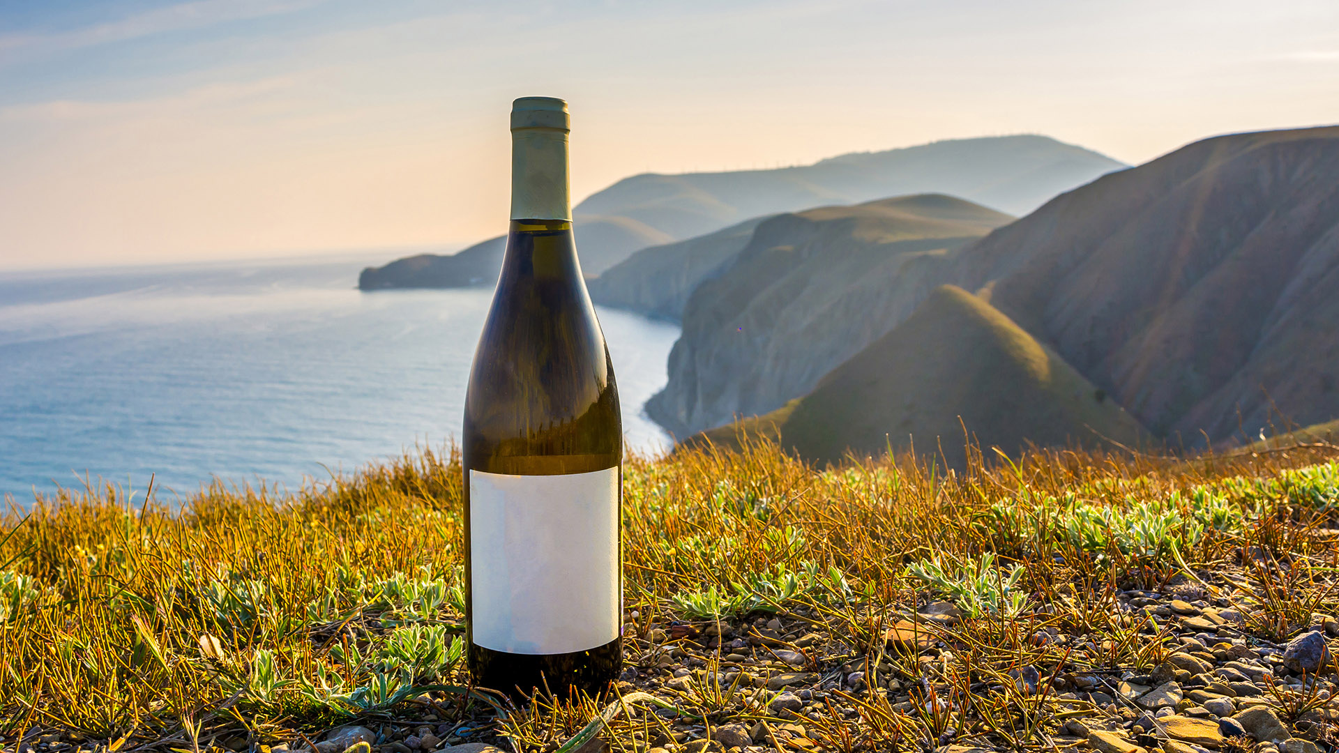 How To Create An Ideal Product Package Label – BottleStore.com Blog